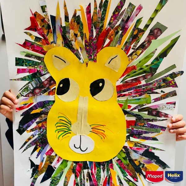 Make a collage animal – Maped Helix UK